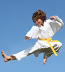 Kaicho Tadashi Nakamura's World Seido Karate Organization in Elmsford