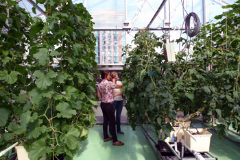The Science Barge: Groundwork Hudson Valley's Floating Farm Near the ...