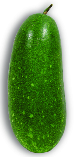 What the Heck Is a Fuzzy Squash? A Guide to the Gourd