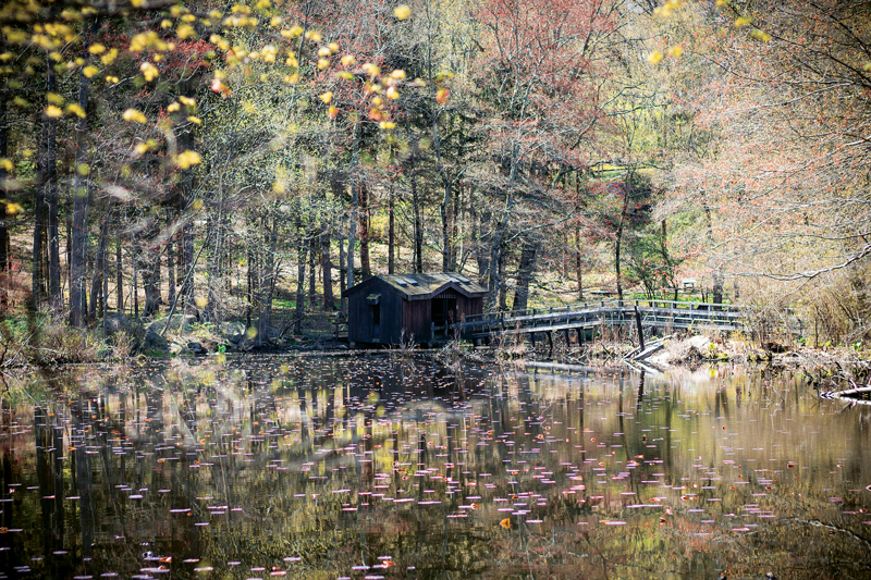 These Are The Best Outdoor Activities In Westchester County these-are-the-best-outdoor-activities-in-westchester-county
