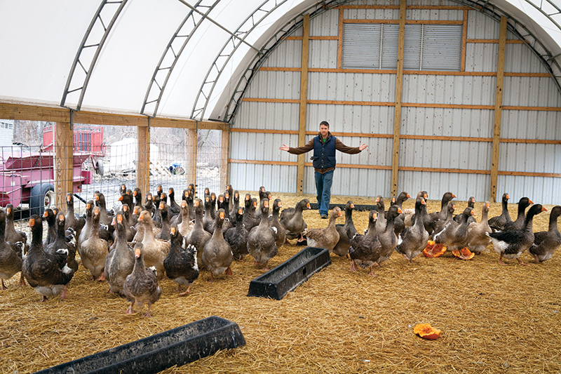 Behind The Scenes: Stone Barns Center For Food And Agriculture