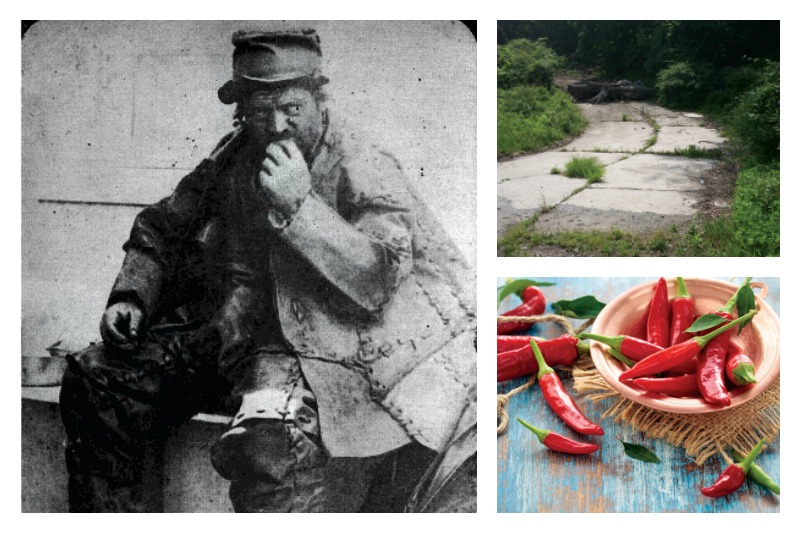 What Happened to the Leatherman?