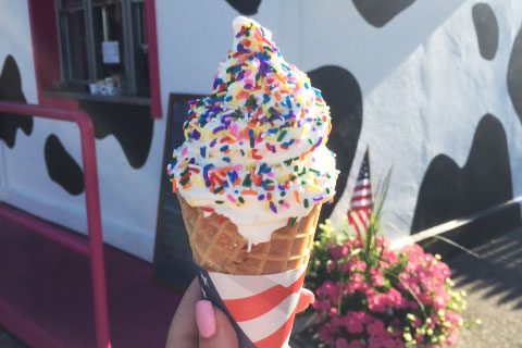 Daily Moos Creamery Soft Serves Nostalgia
