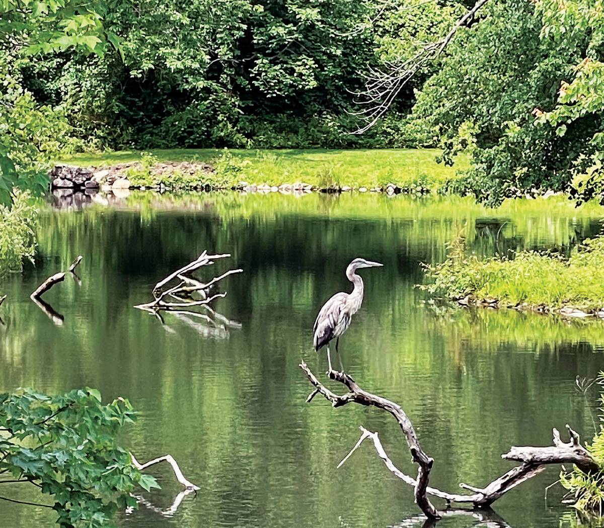 Explore Westchester's Outdoor Recreation Destinations by Town