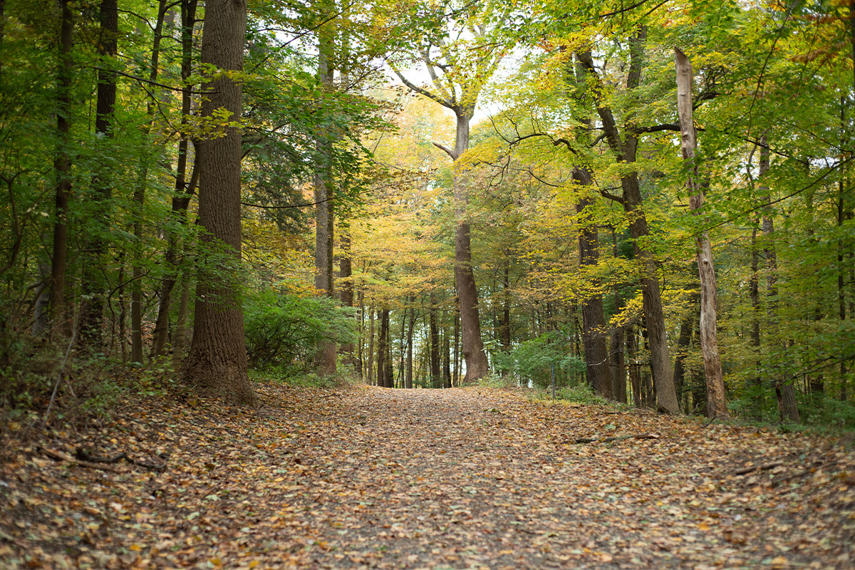 Westchester Parks Foundation Launches Trails Without Limits