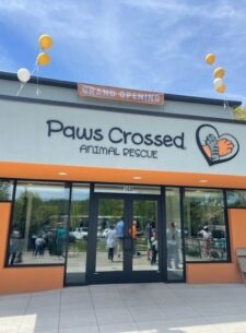 Paws Crossed Animal Rescue Gets a New Look in Elmsford